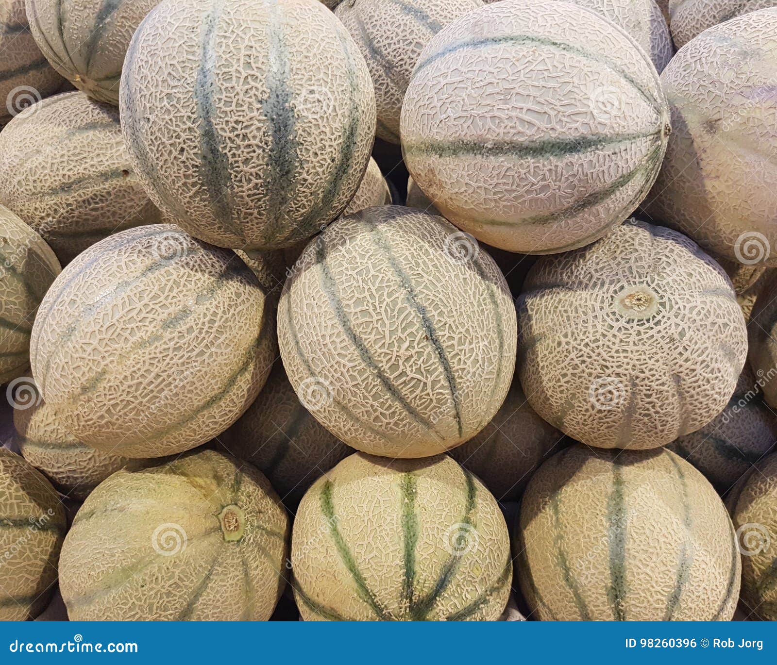 Cantaloupe melon stock photo. Image of healthy, fresh - 98260396