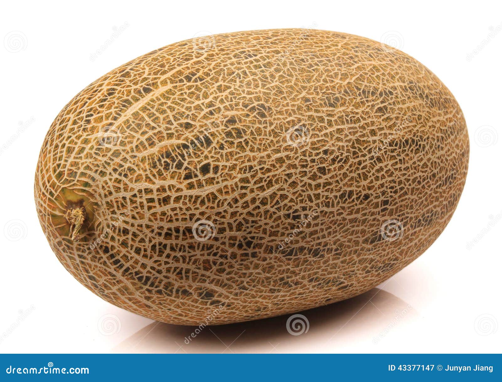 Cantaloupe, Netted melon stock image. Image of cantaloupe - 43377147