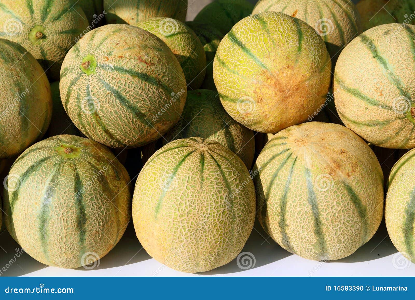 Cantaloupe Rock Melon Muskmelon Spanspek Stock Photo - Image of closeup ...