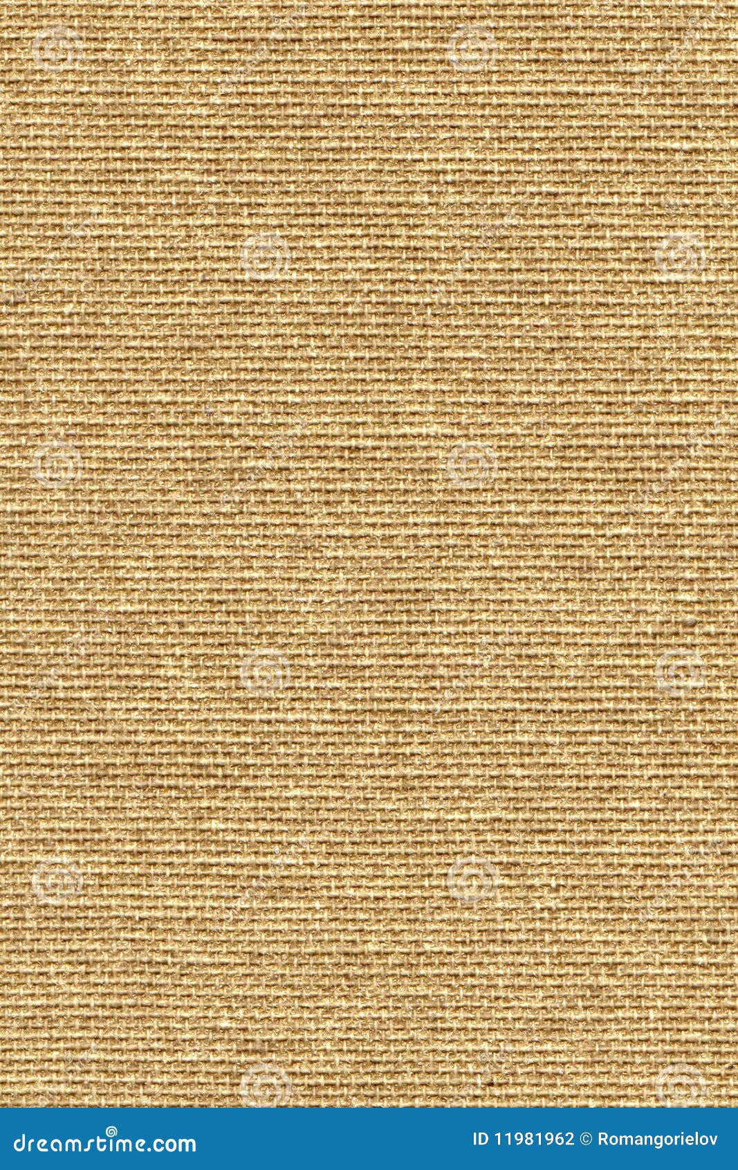 Canvas with a Large Texture Stock Photo - Image of blank, thread: 11981962