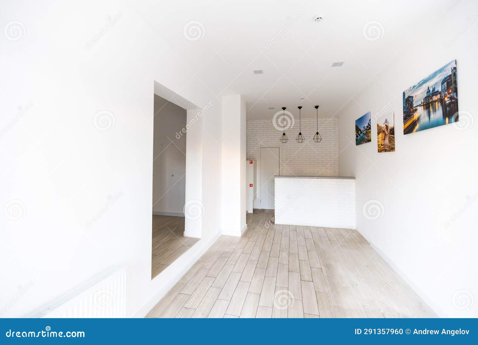 Canvas Print. Photo Hanging on a White Wall, Front View. Interior Decor ...