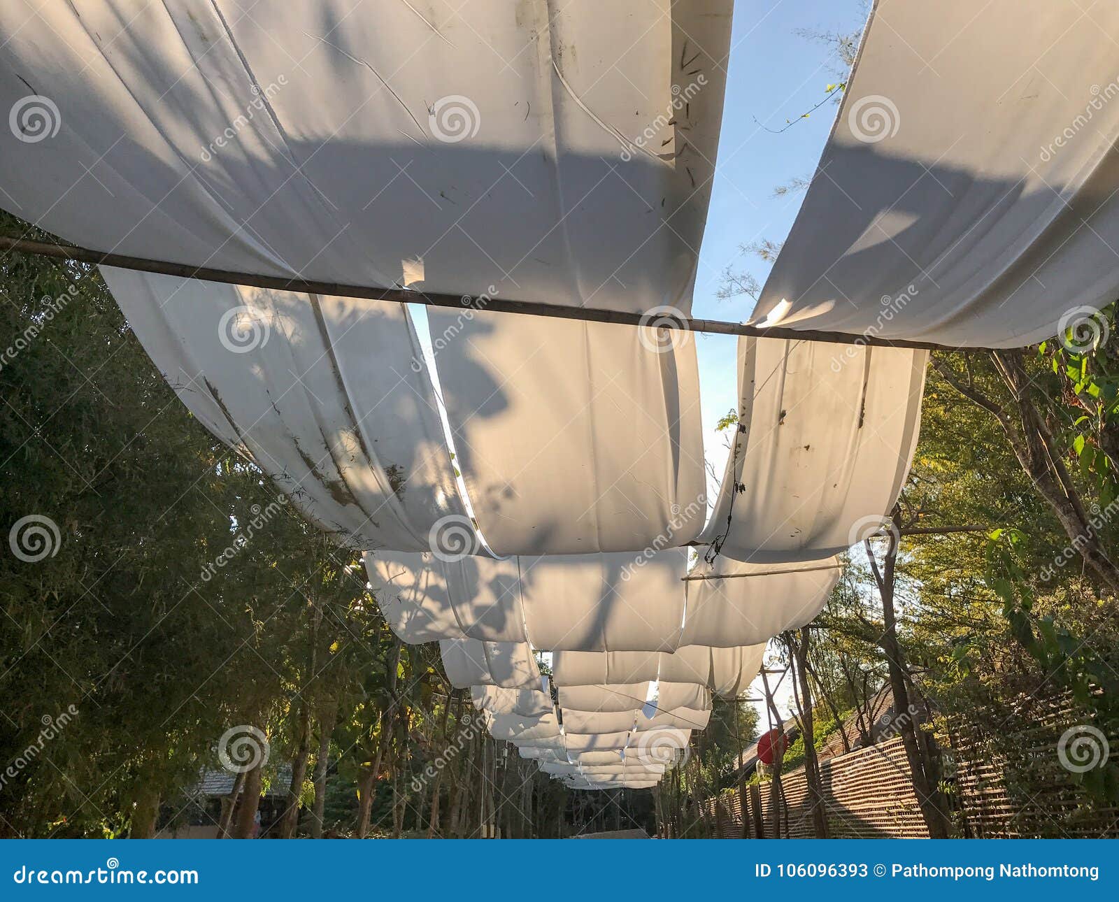Canvas Roof through Pathway Stock Image - Image of grass, healthy ...