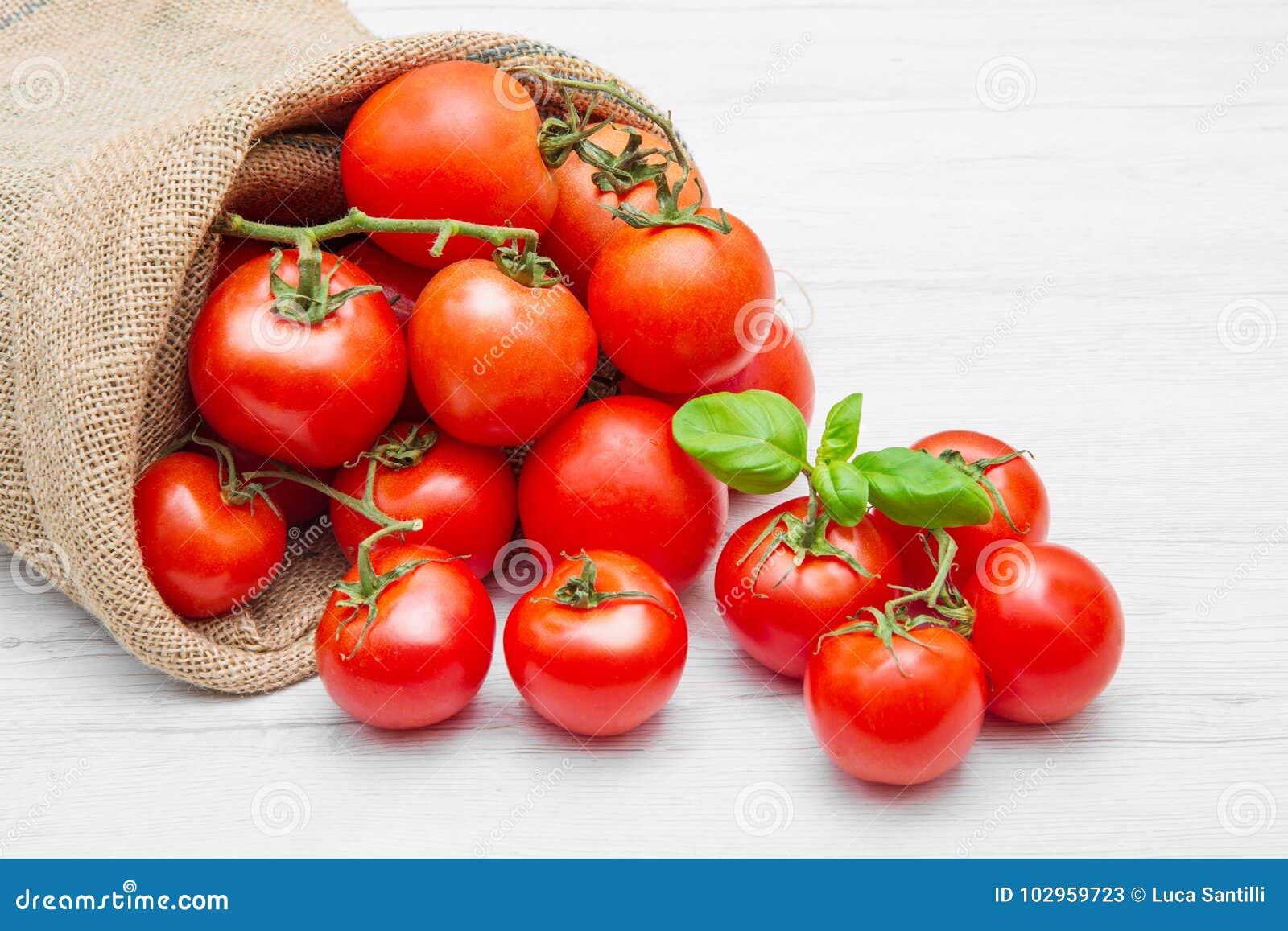 Canvas Sack Full of Red Cherry Tomatoes Stock Image - Image of ...
