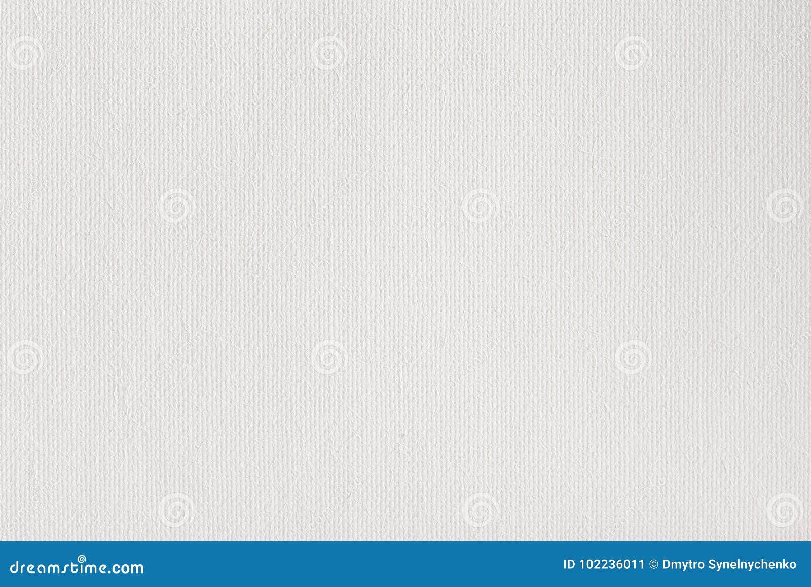 White Primer Painting With Roller Brush On The Repair Cement Wall ...