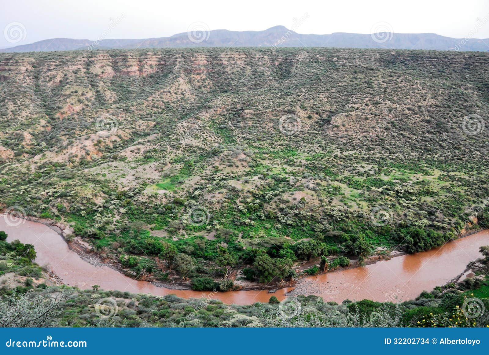 Canyon at Awash National Park (Ethiopia) Stock Photo - Image of water ...