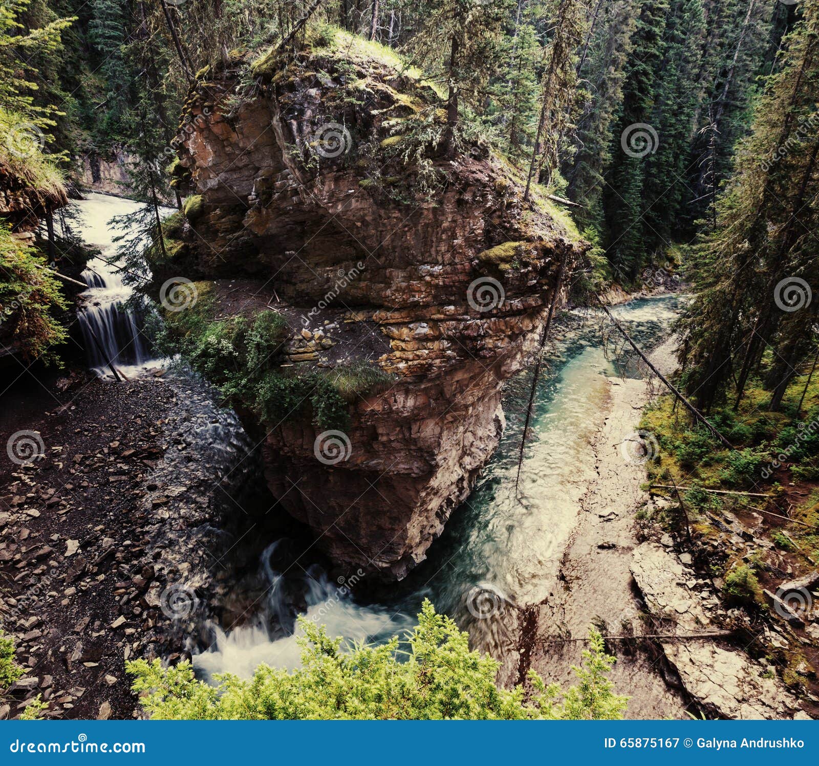 Canyon in Banff NP stock image. Image of alberta, rocky - 65875167