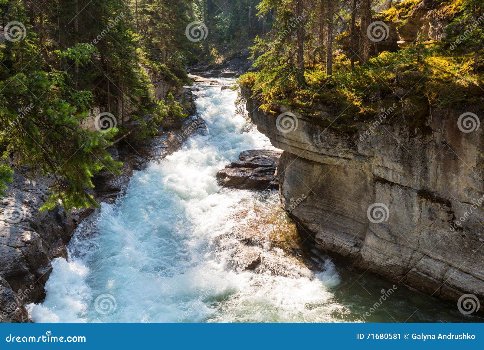 Canyon in Banff NP stock image. Image of cave, gorge - 71680581