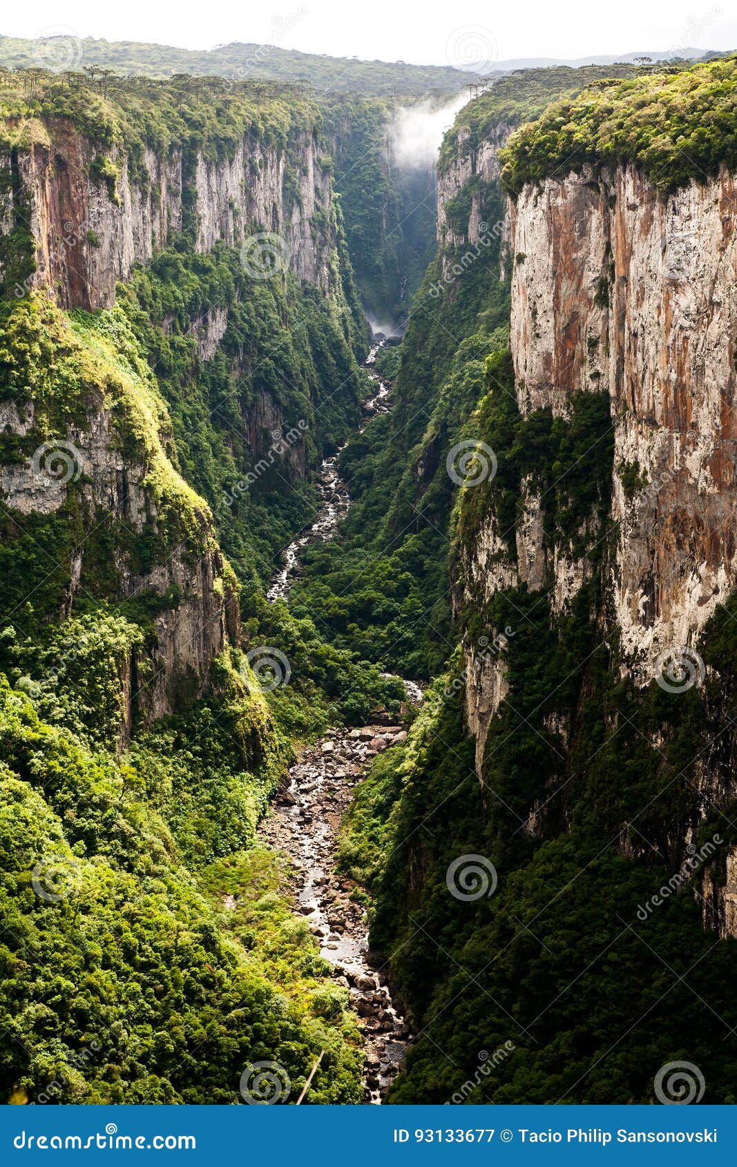 Canyon Cliffs in Southern Brazil Stock Image - Image of crag, southern ...