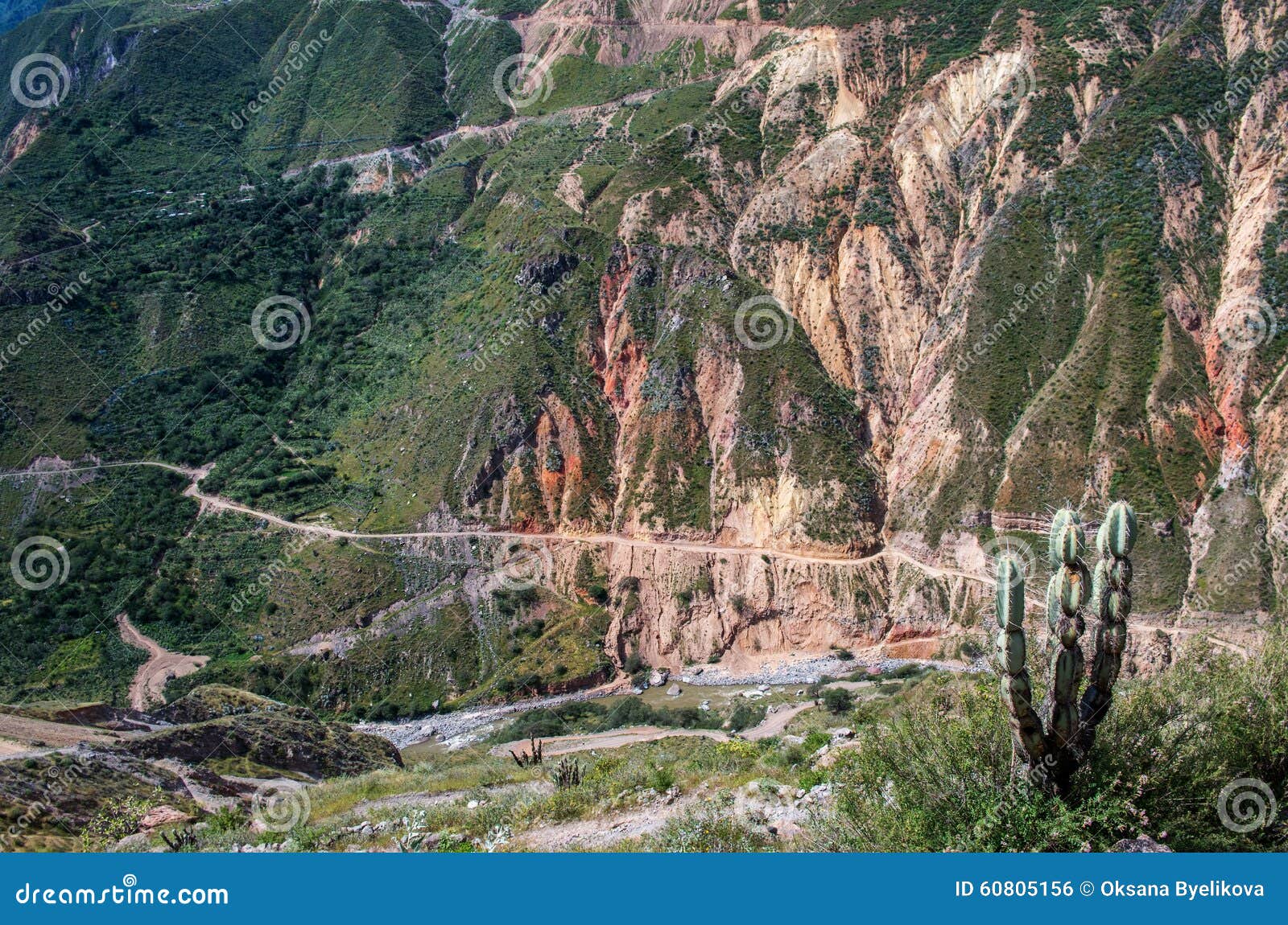Canyon Colca, Peru stock photo. Image of mountain, colca - 60805156