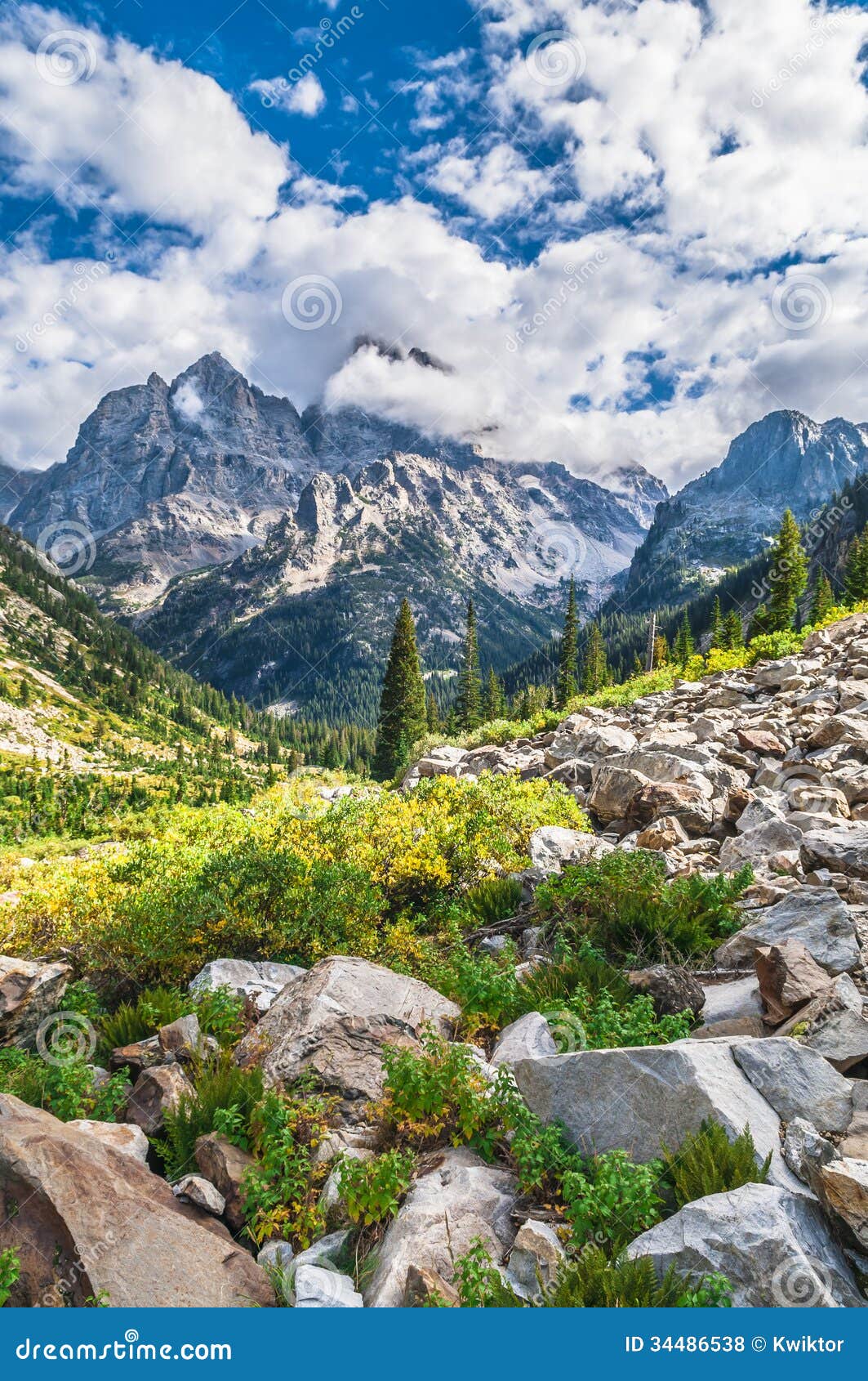Canyon De Cascade - Parc National Grand De Teton Photo stock - Image du ...