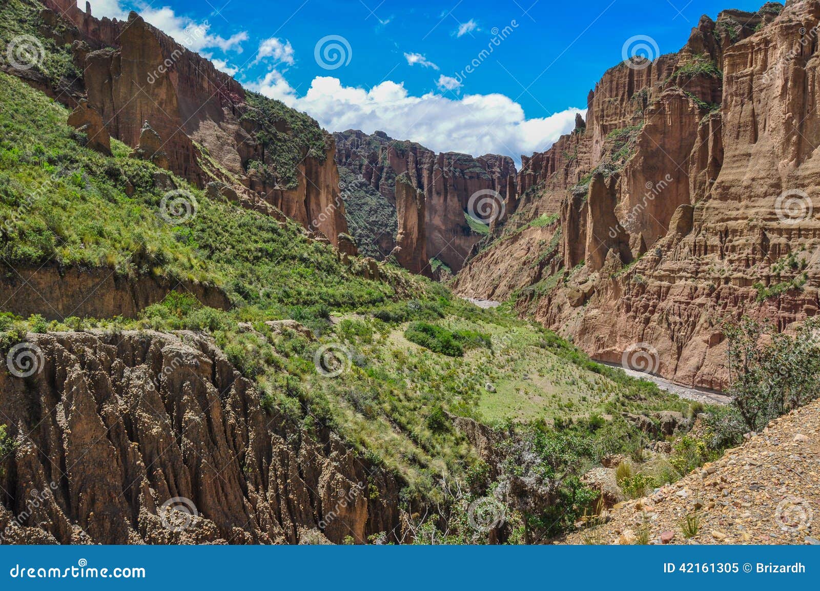 Canyon De Palca Cerca De La Paz, Bolivia Imagen de archivo - Imagen de ...