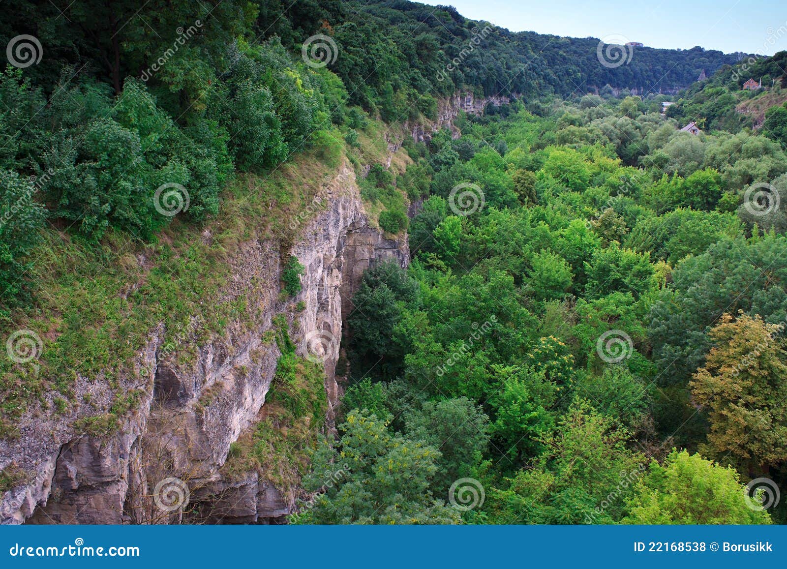 Canyon and forest stock photo. Image of mountain, inspiring - 22168538