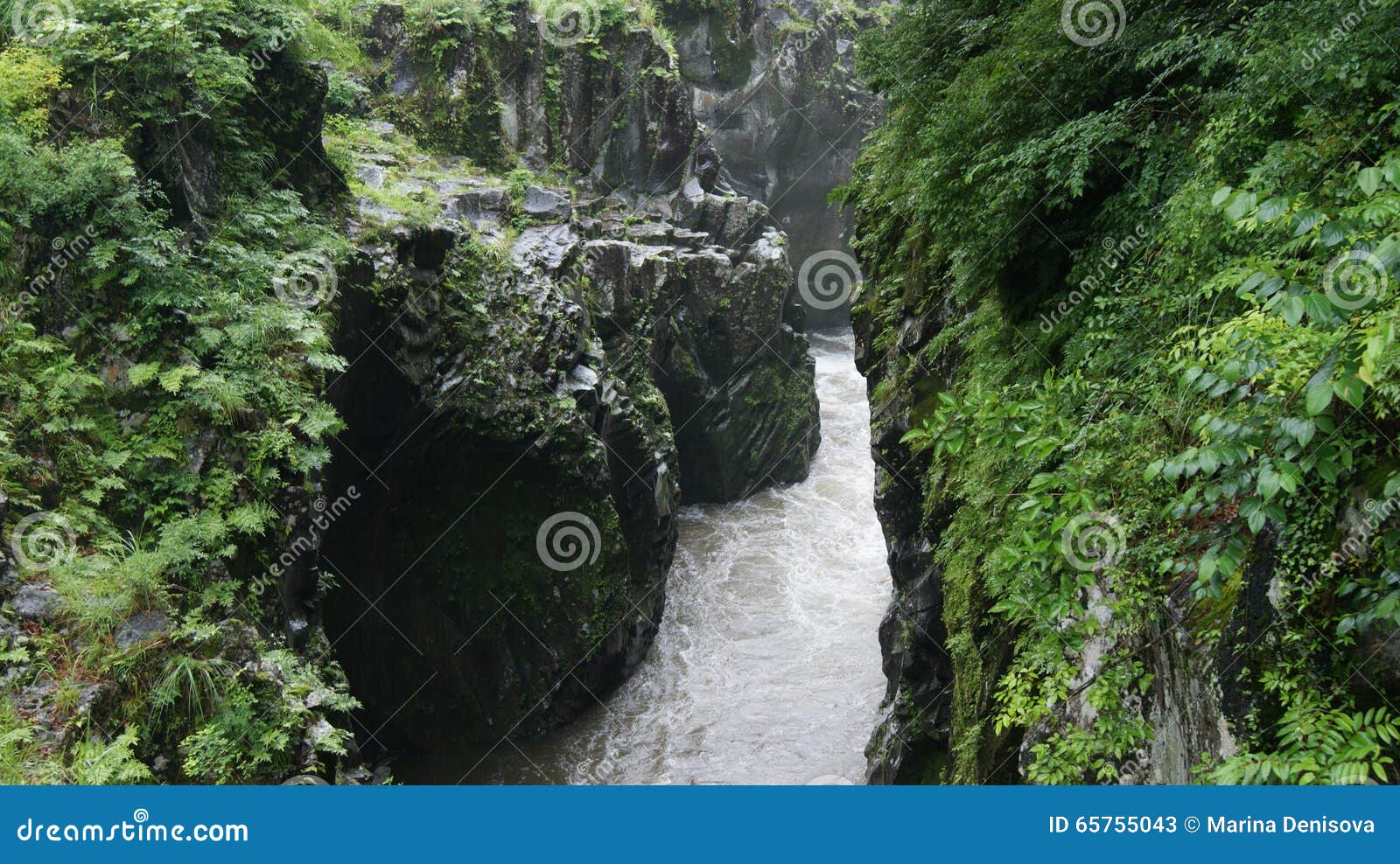 Canyon, Japan stock image. Image of canyon, forest, river - 65755043