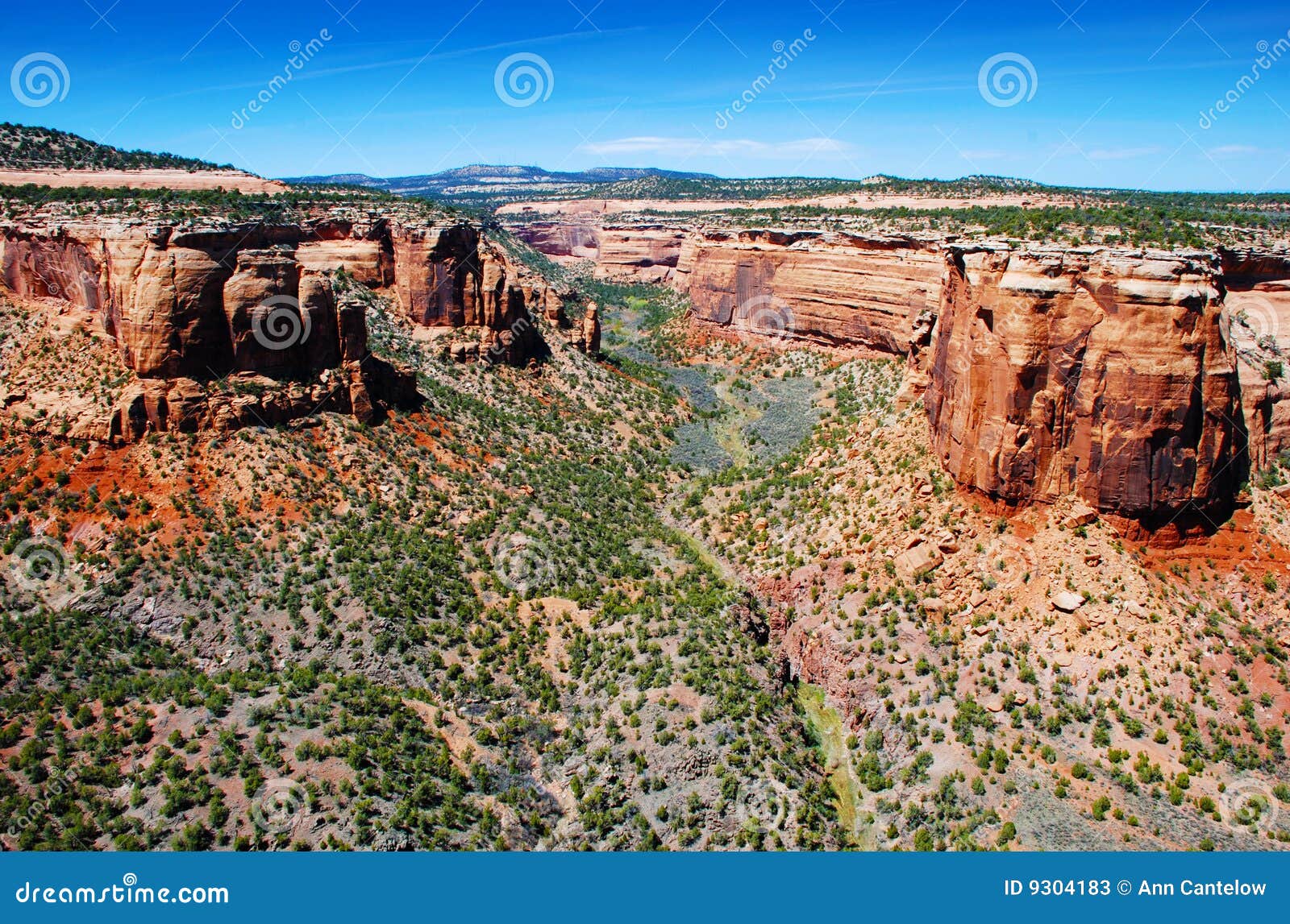 Canyon between Mesas in the US Southwest Stock Image - Image of arid ...