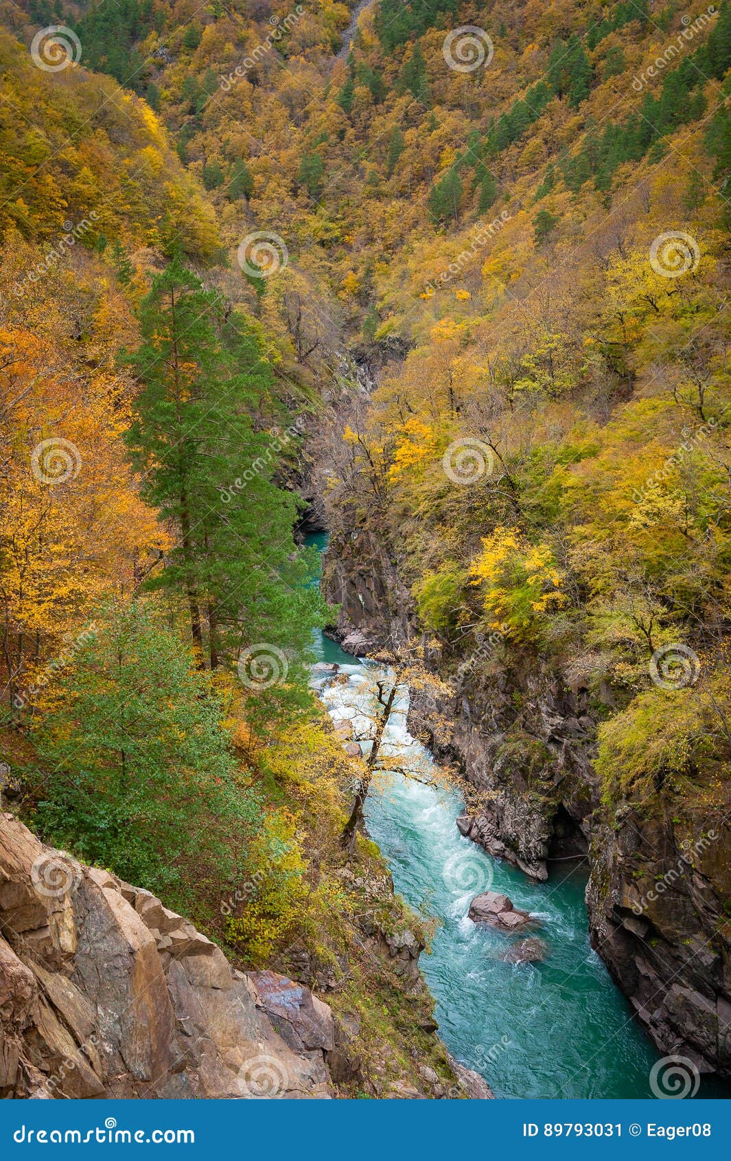 Canyon of Mountain River in Fall Season Stock Image - Image of scenic ...