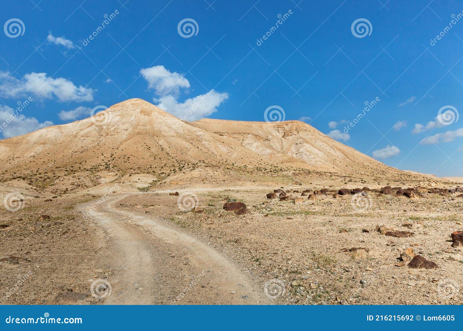 Canyon of the OG Riverbed at Dawn Stock Photo - Image of dead, cliff ...