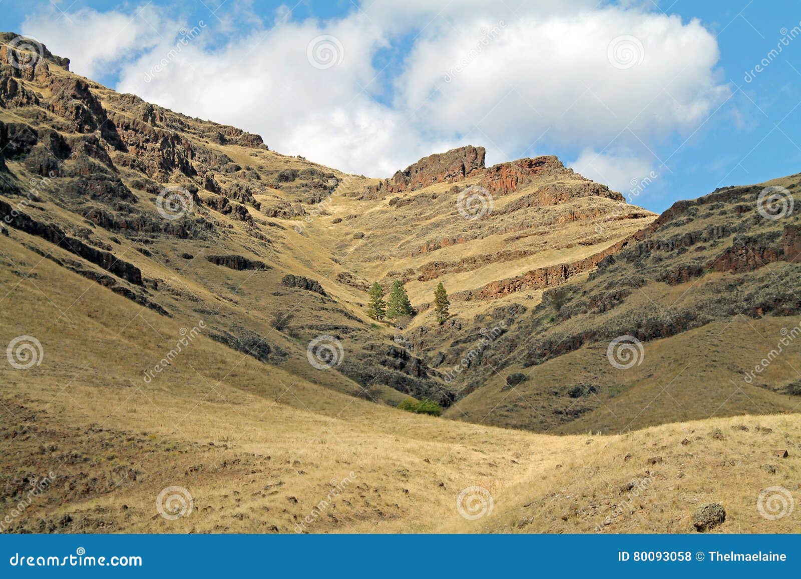 Canyon in Oregon Under a Blue Sky with White Clouds Stock Photo - Image ...
