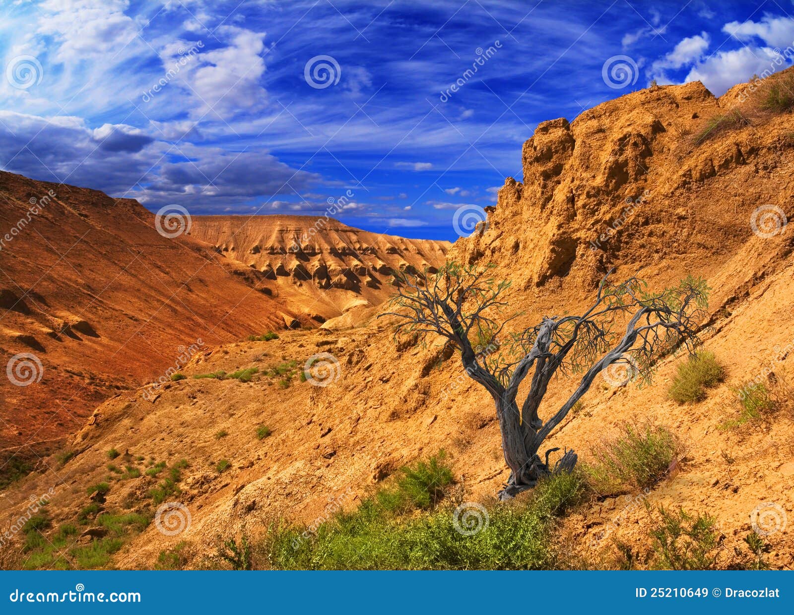 Canyon Plateau Ustyurt in Kazakhstan Stock Image - Image of ustyurt ...