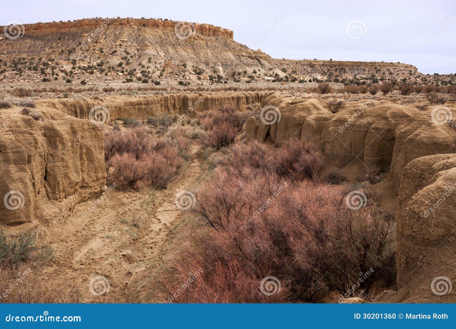 Treasures of New Mexico stock photo. Image of beautiful - 30201360