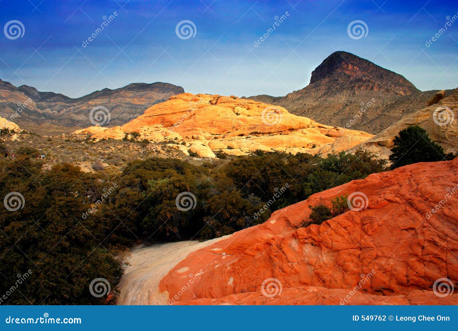 Canyon Rouge De Roche, Nevada Image. Image: 549762