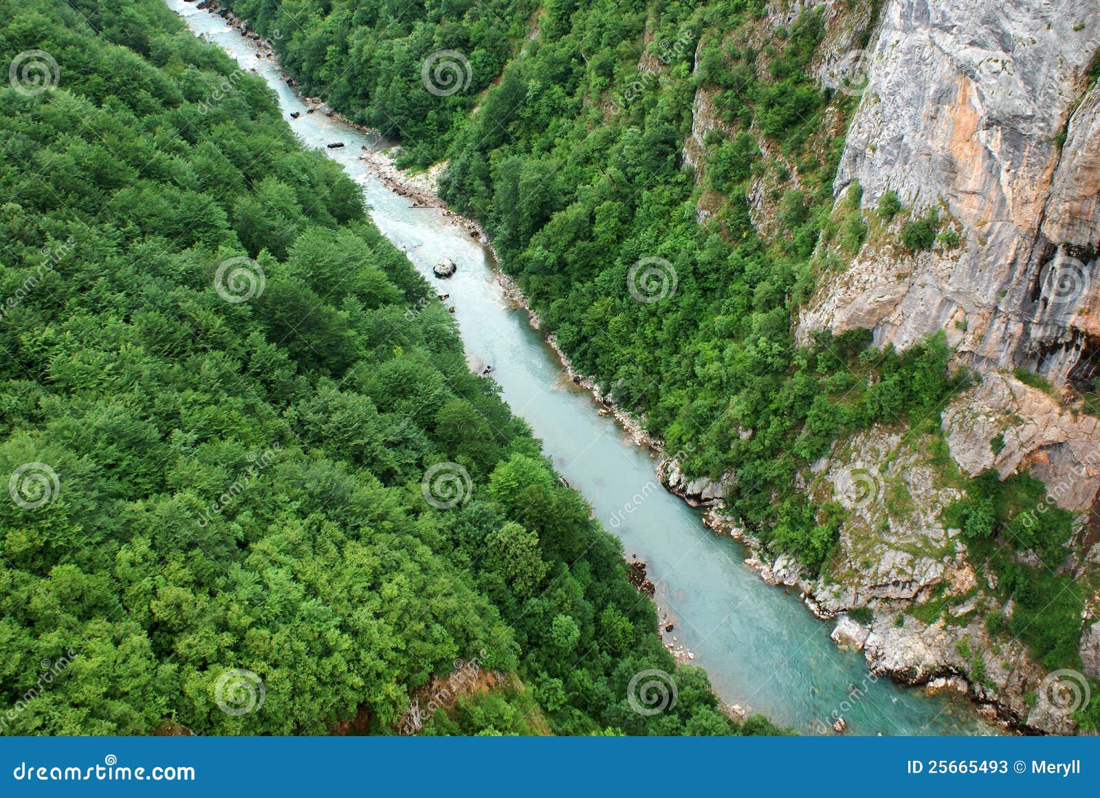 Canyon of Tara river stock image. Image of flow, rock - 25665493