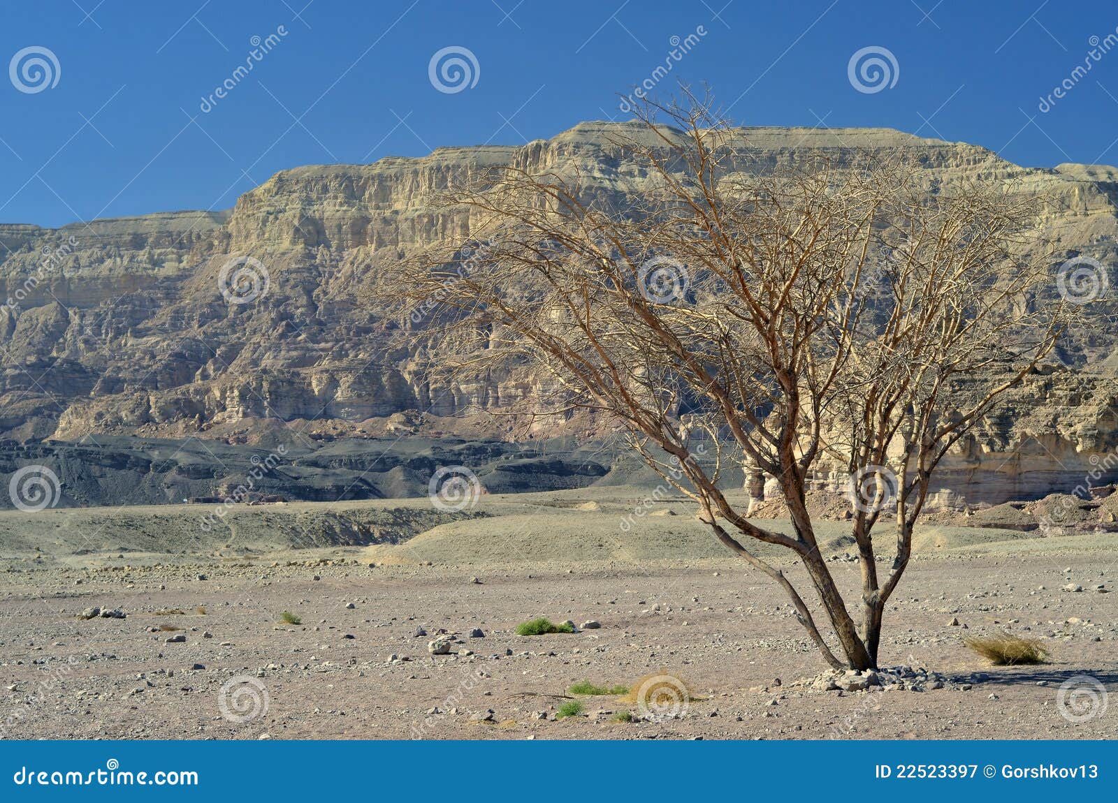 Canyon in Timna Park, Israel Stock Image - Image of israel, excursion ...