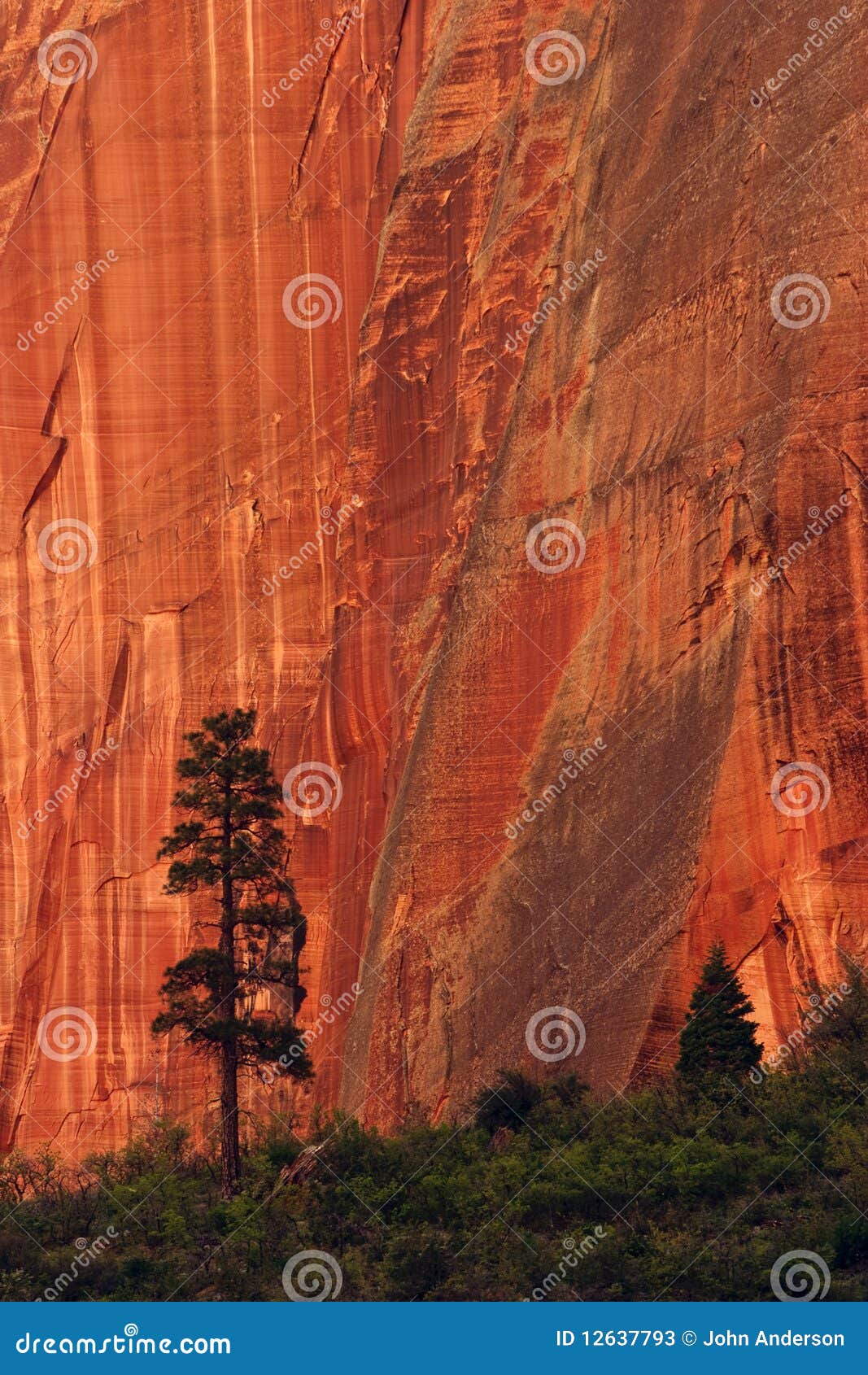 Canyon wall stock image. Image of southwest, park, rocks - 12637793