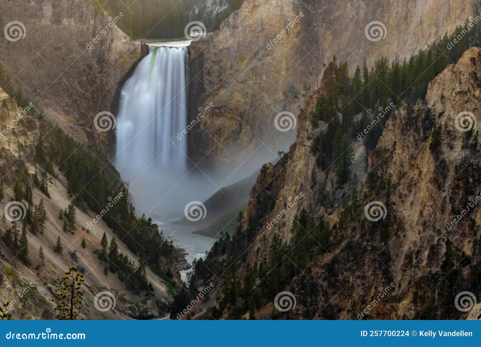 Canyon Walls Drop Down the Canyon and Lower Falls of the Yellowstone ...