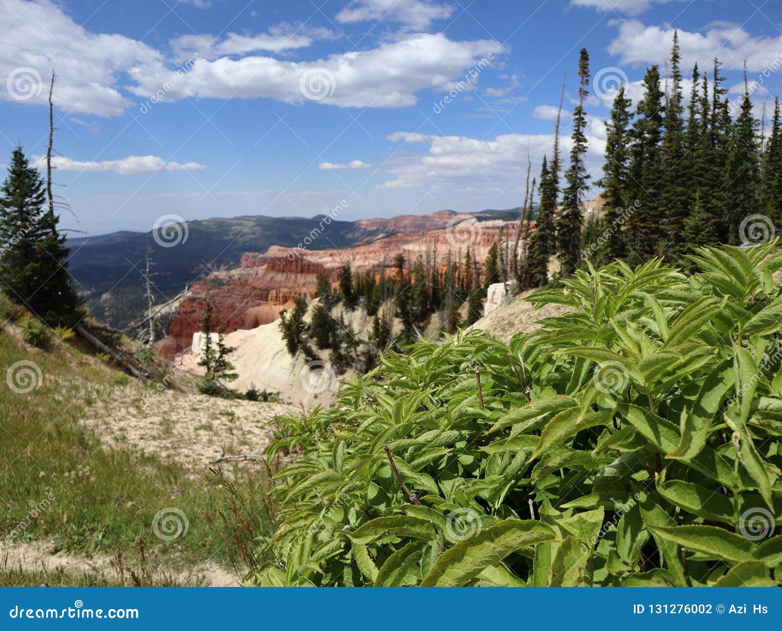 Canyons View Point ! stock photo. Image of canyons, forests - 131276002