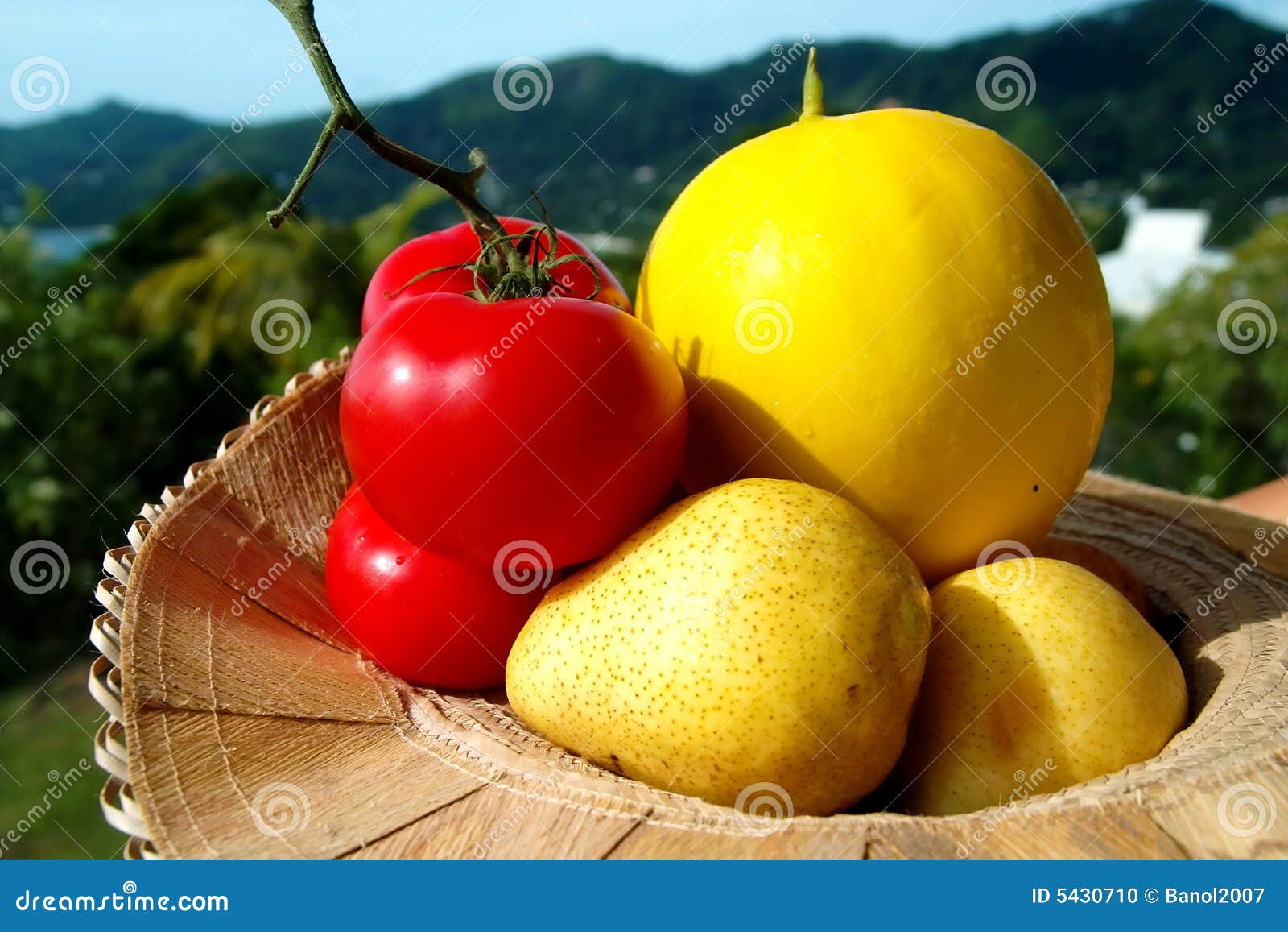 Cap Colorful Country Fruits 库存照片 - 图片 包括有 产物, 帽子: 5430710