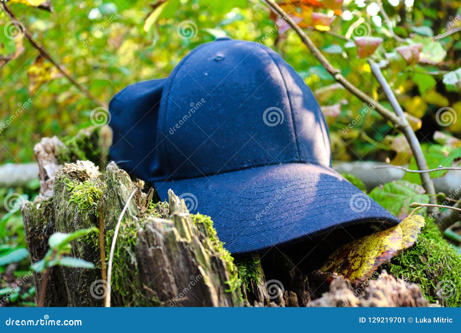Cap in the forest ! stock image. Image of tree, photographed - 129219701