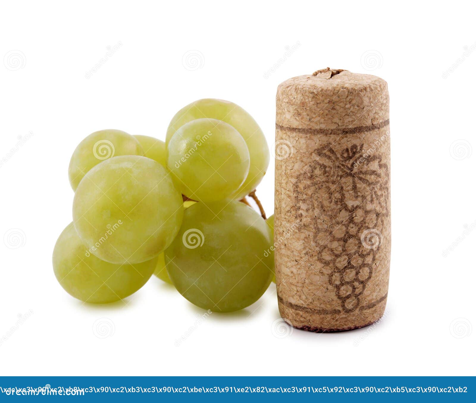 Cap and grapes stock photo. Image of bunch, closeup, beverage - 21176602