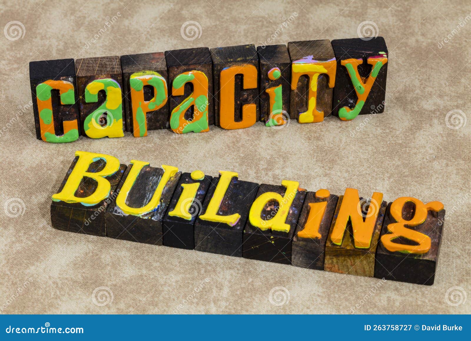 Capacity Building Training Success Business Development Skill Stock ...