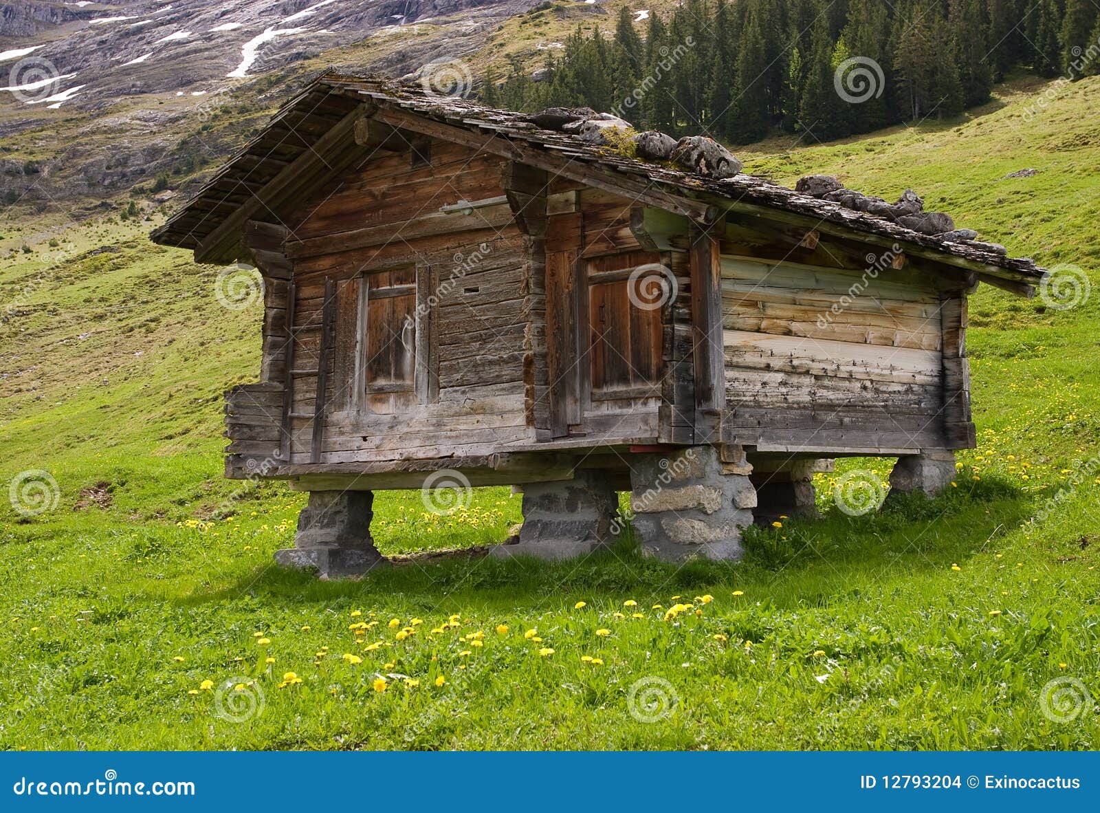 Capanna Di Legno Della Montagna Fotografia Stock - Immagine di alpi ...