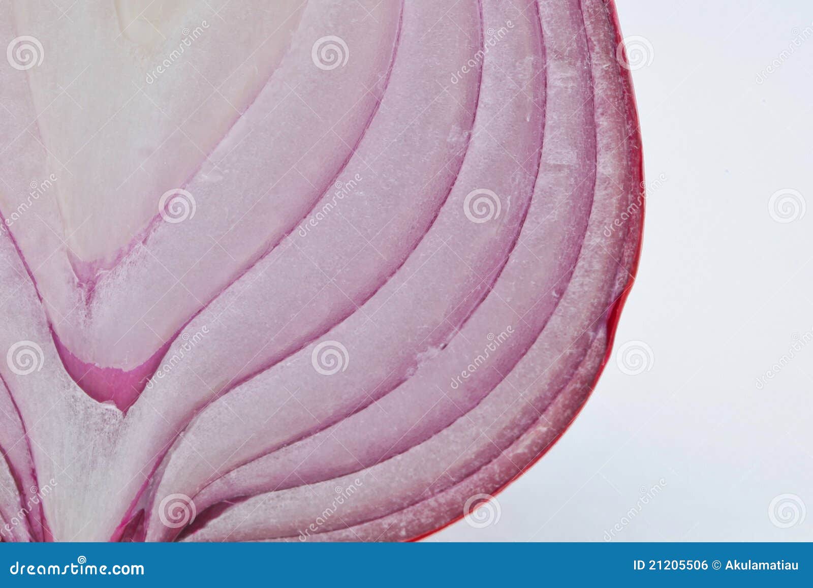 Capas de la cebolla roja foto de archivo. Imagen de salud - 21205506