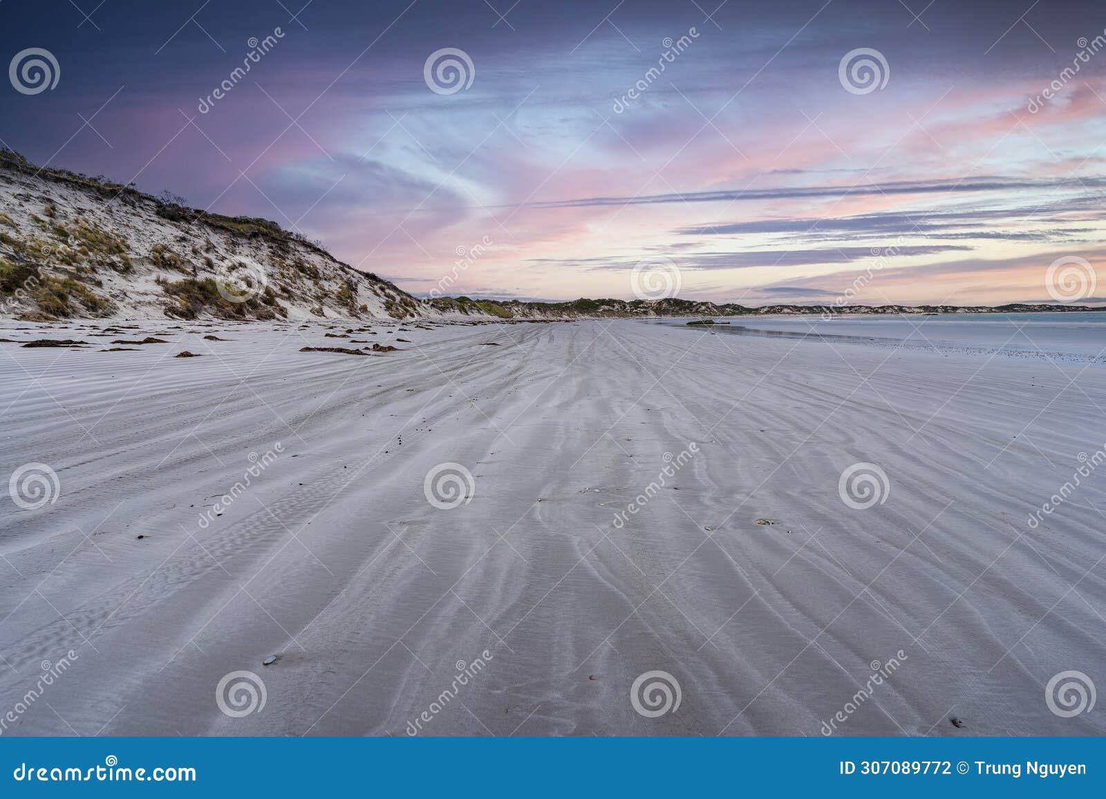 Cape Banks beach at sunset stock photo. Image of vehicle - 307089772