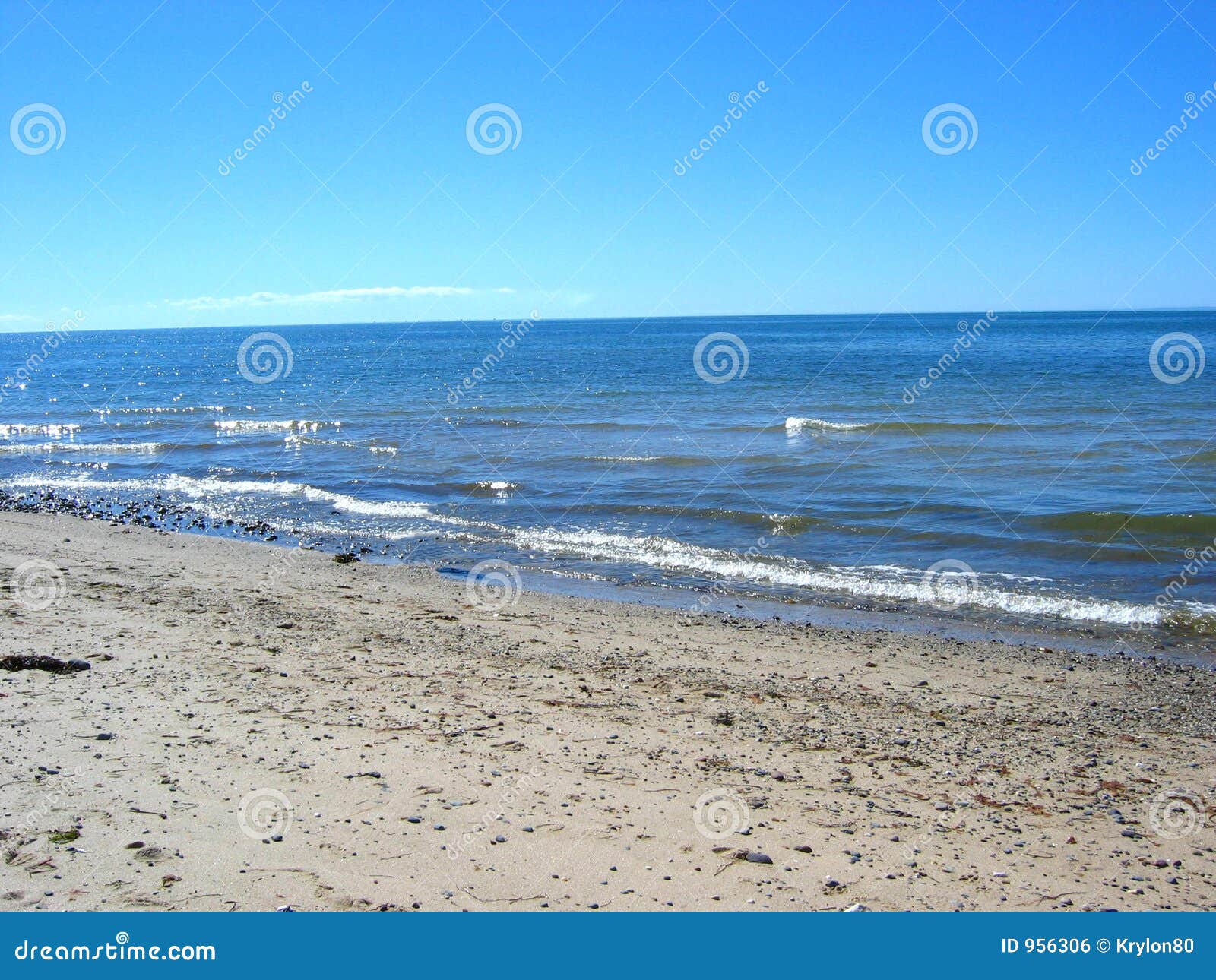 Cape Cod, Beach 01 stock photo. Image of ocean, beach, marine - 956306