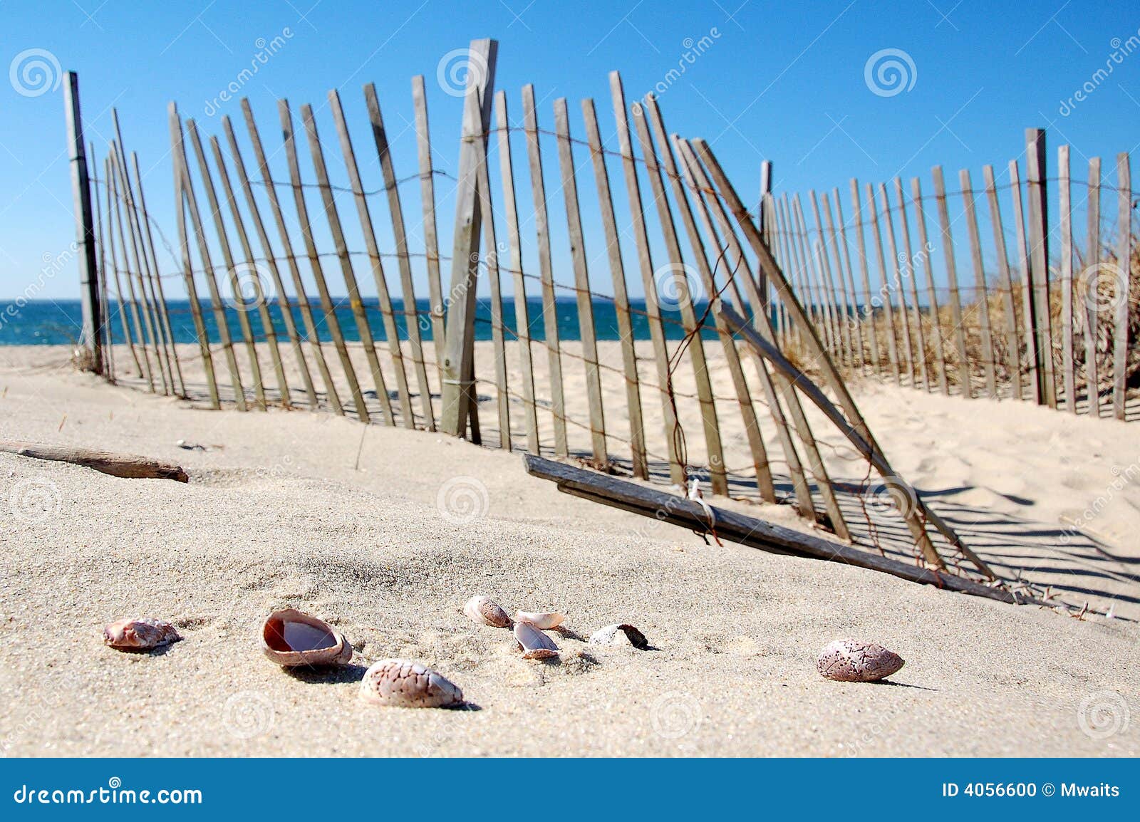 Cape Cod Beach stock photo. Image of ocean, england, shore - 4056600