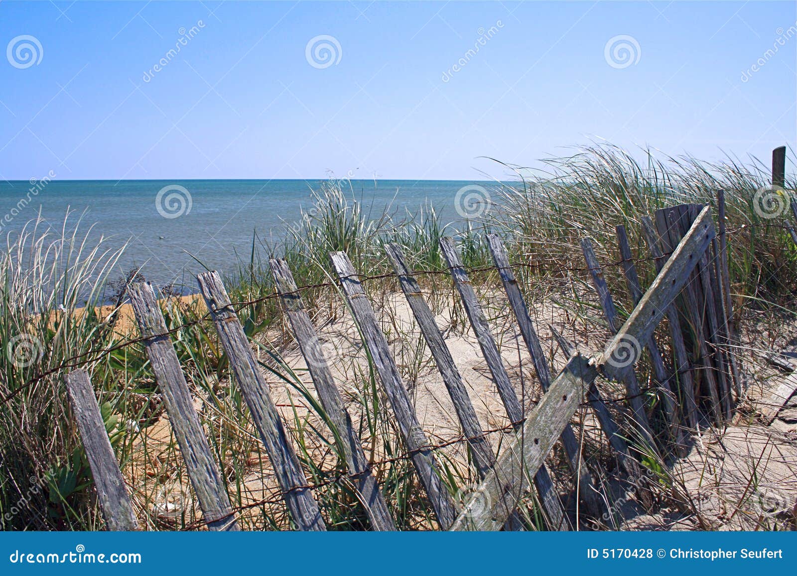 Cape Cod Beach Dune and Snow Fence Stock Photo - Image of dune, chatham ...