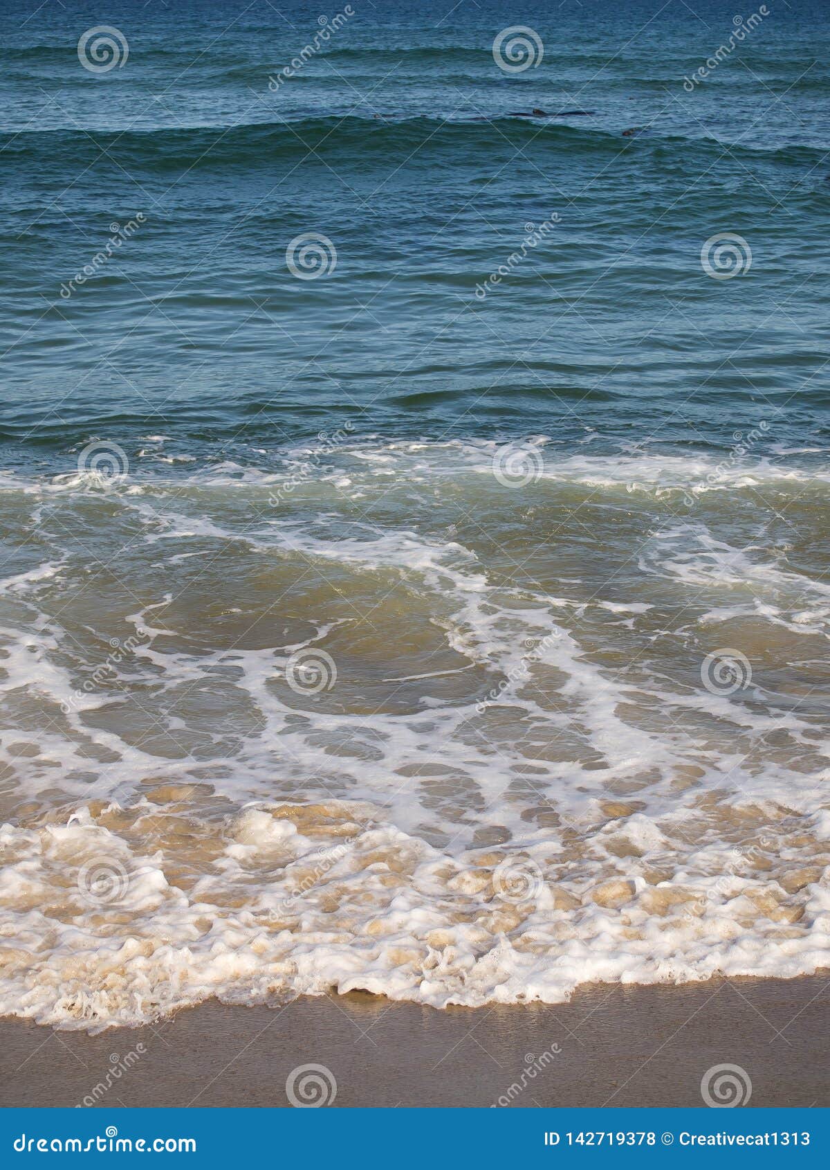 Cape Cod Beach Ocean Tideline Stock Photo - Image of shore, cold: 142719378
