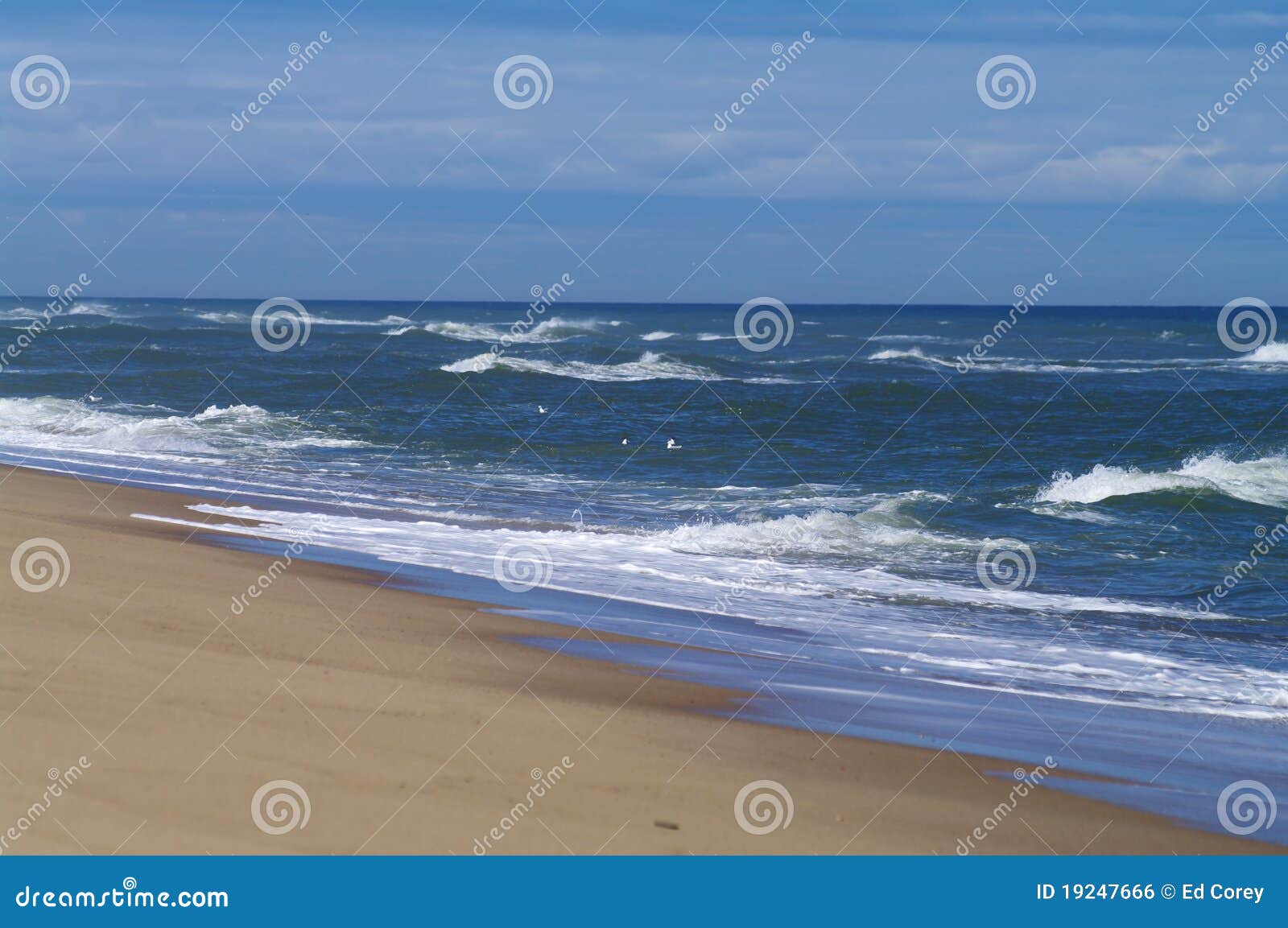 Cape Cod Beach and surf stock photo. Image of blue, wind - 19247666