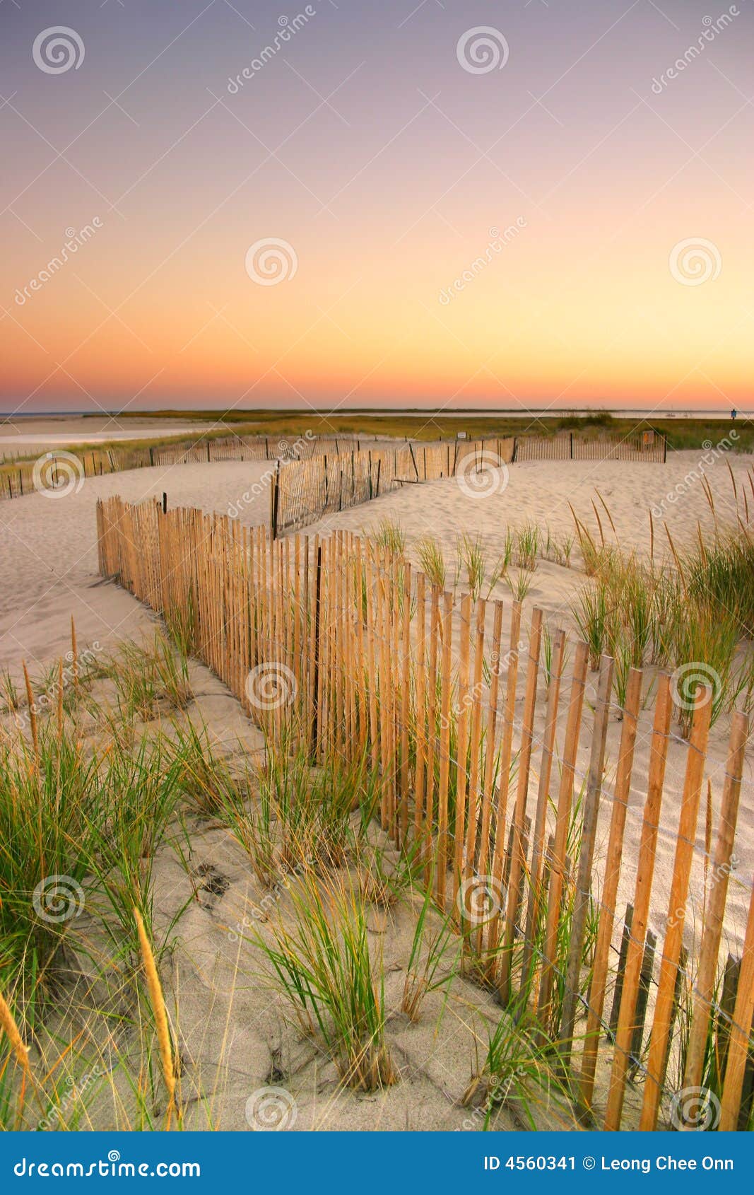 Cape Cod, Massachusetts, USA Stock Image - Image of coastal, seashore ...
