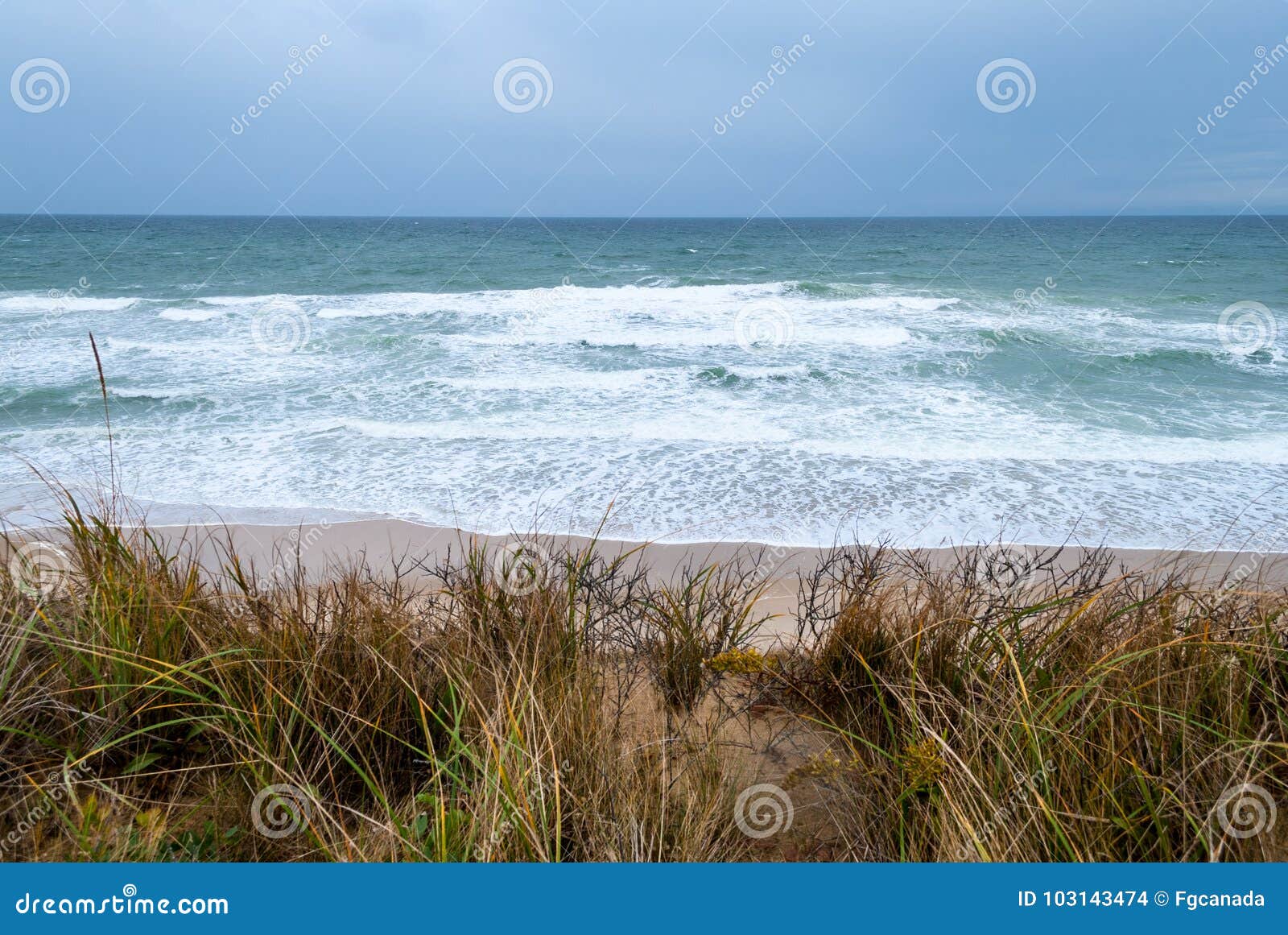 Cape Cod in November stock photo. Image of hiking, coast - 103143474