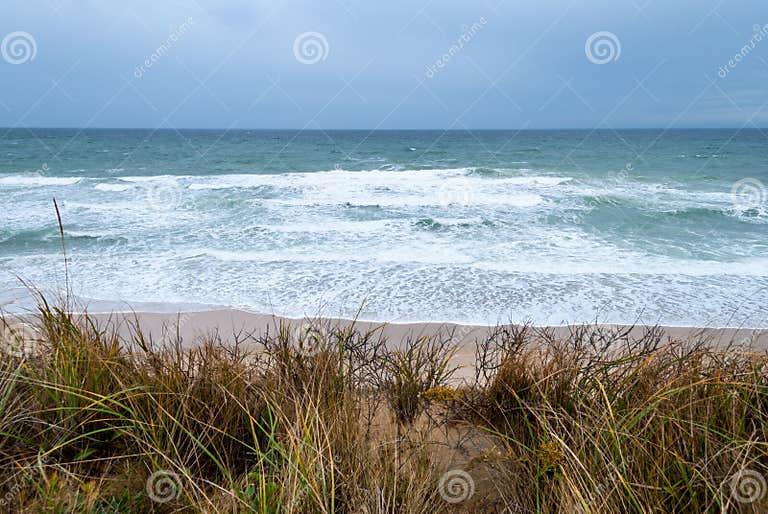 Cape Cod in November stock photo. Image of hiking, coast - 103143474