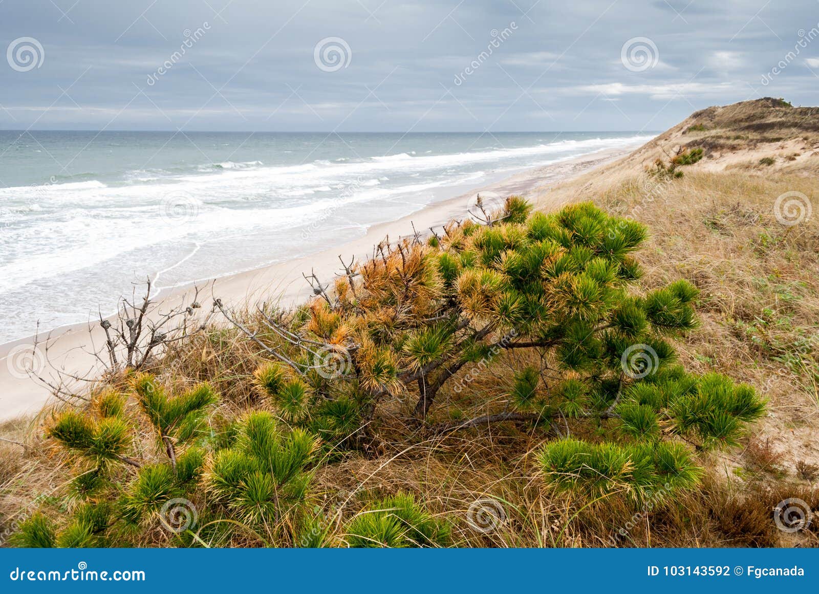 Cape Cod in November stock photo. Image of gloomy, beach - 103143592