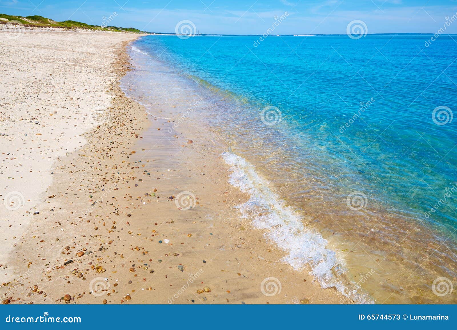 Cape Cod Sandy Neck Beach Massachusetts Stati Uniti Immagine Stock ...