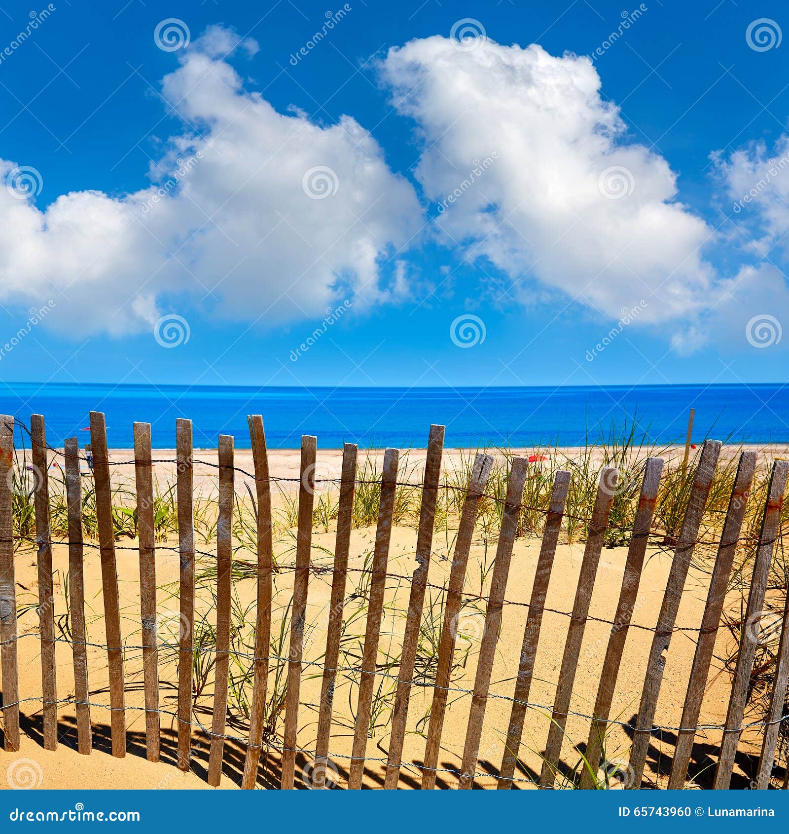 Cape Cod Sandy Neck Beach Massachusetts US Stockfoto - Bild von umhang ...