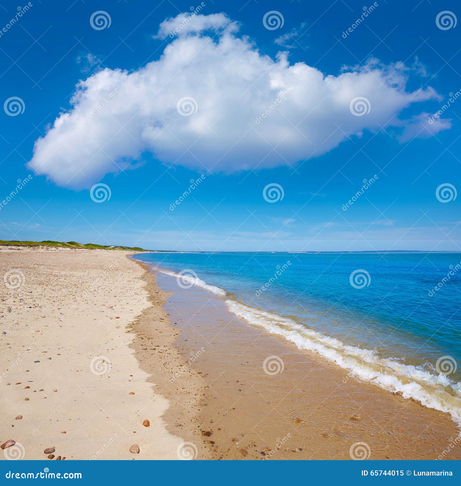 Cape Cod Sandy Neck Beach Massachusetts US Stock Image - Image of ...