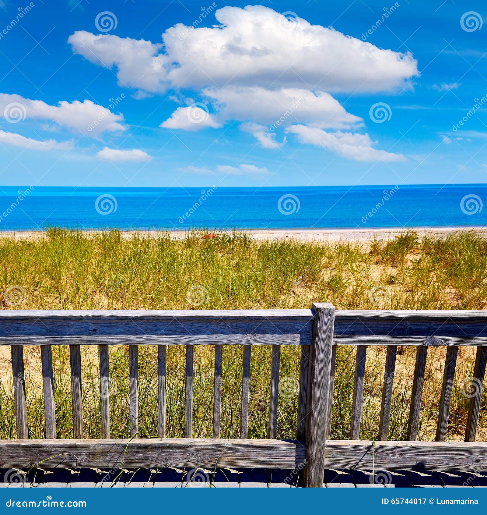 Cape Cod Sandy Neck Beach Massachusetts US Stock Image - Image of coast ...