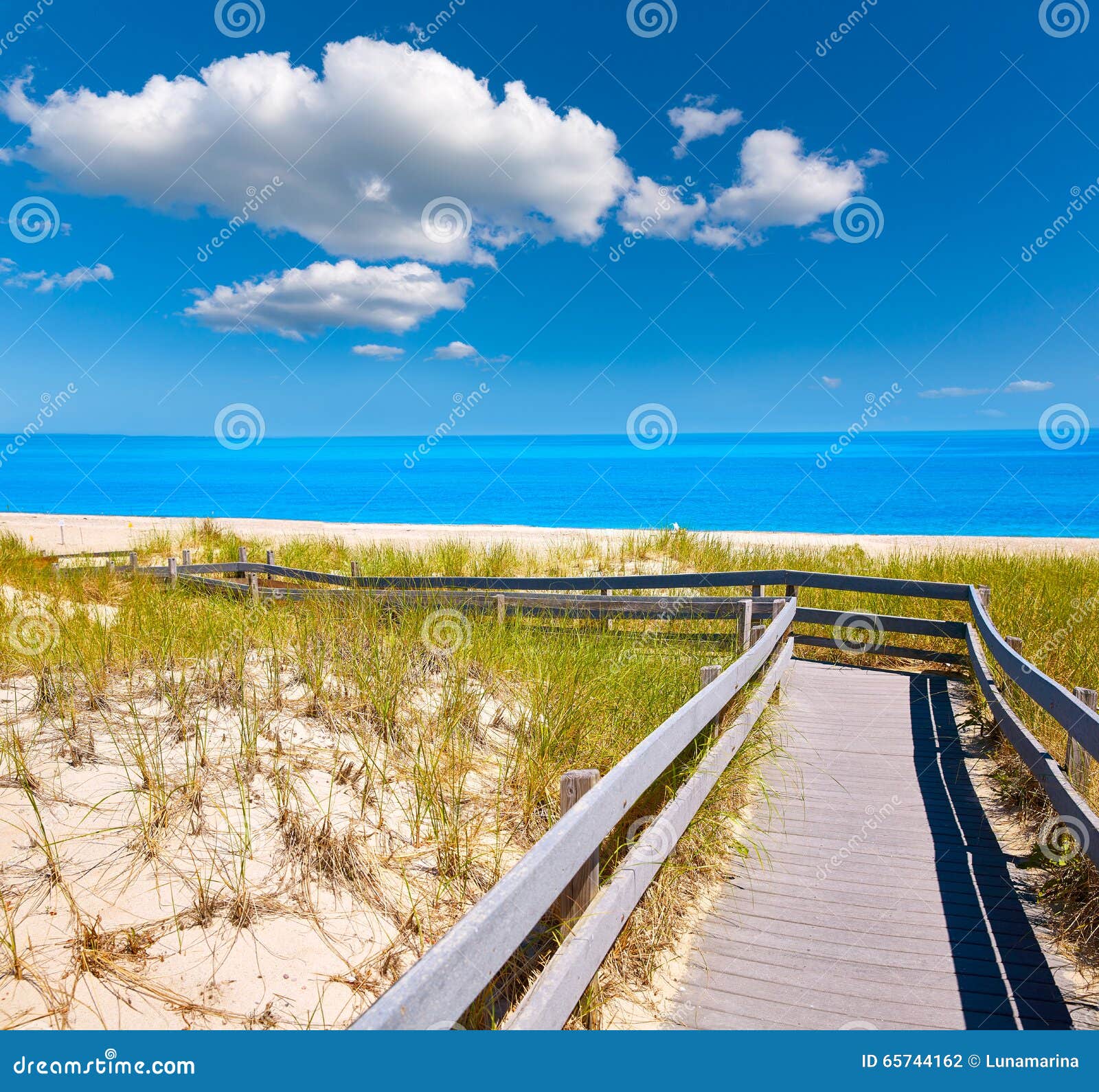 Cape Cod Sandy Neck Beach Massachusetts US Stock Photo - Image of sandy ...
